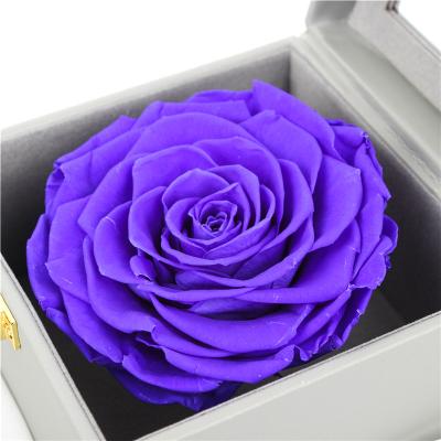 China Dark Purple 7-8CM Preserved Rose Gift Box With No Harmful Substances for sale