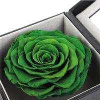 China Green Forever Rose In A Box , Elegant Square Everlasting Roses In A Box for sale