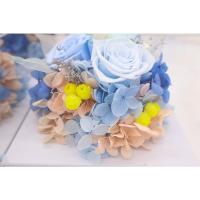 China Colorful Vivid Preserved Rose Gift Box Can Lasting For A Long Time for sale