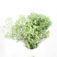 China Home Decorations Everlasting Beautiful Dried Flowers Babys breath Preserved for sale