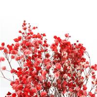 China Preserved Gypsophila Baby'S Breath , Dried Gypsophila Wedding Table Flowers for sale