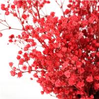 China Preserved Gypsophila Baby'S Breath , Dried Gypsophila Wedding Table Flowers for sale