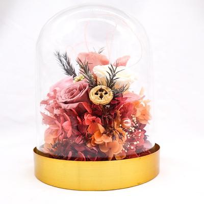 China Customized Everlasting Rose In Glass , Valentine'S Day Preserved Roses In Glass for sale