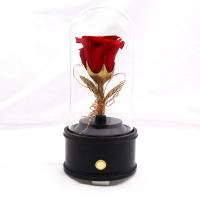 China 100% Natural Fresh Preserved Rose Glass Dome For Wedding Decoration for sale