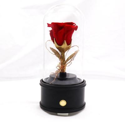 China 100% Natural Fresh Preserved Rose Glass Dome For Wedding Decoration for sale