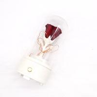 China Customized Color Preserved Rose Glass Dome Bluetooth Speakers For Home Decoration for sale