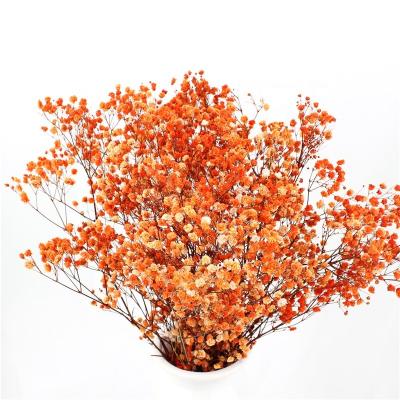 China Colorful Dried Baby'S Breath Bouquet , Preserved Baby'S Breath For Gift for sale