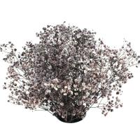 China Eternal Beautiful Dried Flowers Baby Breath For Celebration Activities for sale