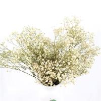 China Immortal Preserved Babys Breath Wedding Bouquets Last For 2-3 Years for sale
