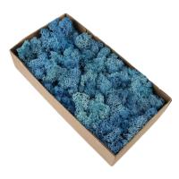 China Decorative Preserved Natural Moss Perfect Nature Touch With No Maintenance for sale