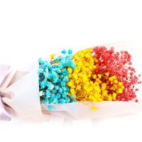China Preserved Babysbreath Wish In A Bottle Gift With Beautiful Appearance for sale