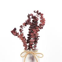 China Forever Preserved Foliage Eucalyptus Big Leaves For Indoor Decoration for sale
