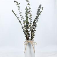 China Multiple Colors Artificial Christmas Foliage Fashionable Style For Decoration for sale