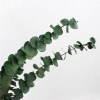 China Multiple Colors Artificial Christmas Foliage Fashionable Style For Decoration for sale
