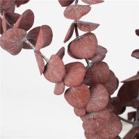 China Real Touch Preserved Foliage Beautiful Color Style For Home Decoration for sale