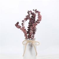 China Lovely Preserve Eucalyptus Leaves , Eucalyptus Dried Flowers With Long Life for sale