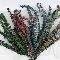 China Customized Natural Preserved Foliage For Gift / Wedding / Home / Shop for sale