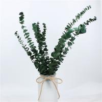 China Customized Natural Preserved Foliage For Gift / Wedding / Home / Shop for sale