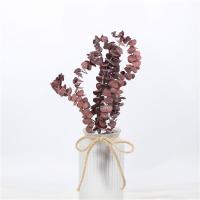 China Artificial Dried Eucalyptus Plant , Preserved Silver Dollar Eucalyptus for sale