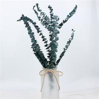 China Modernization Style Preserved Foliage Green Environmental Protection for sale
