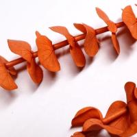 China Long Lasting Dried Eucalyptus Leaves , Dried Eucalyptus Decor Eternal Life for sale