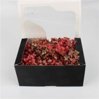 China Eternal Preserved Hydrangea 3-5 Years Flower Life Multi Color For Ceremony for sale