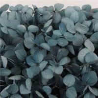 China Eternal Preserved Hydrangea 3-5 Years Flower Life Multi Color For Ceremony for sale