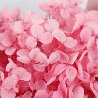 China Decoration Preserved Pampas Grass , Creative Touch Flowers Gift for sale
