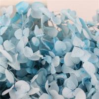 China Beautiful A Grade Preserved Hydrangea Custom Color For Table Decoration for sale