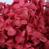 China Beautiful A Grade Preserved Hydrangea Custom Color For Table Decoration for sale