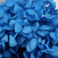 China Real Touch Flower Gift Box Environmental Protection For Events Decoration for sale
