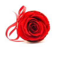 China Forever Eternal Preserved Rose Gift Box For Celebration / Wedding for sale