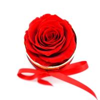 China Artificial Eternal Preserved Rose Gift Box For DIY Gift Valentines for sale