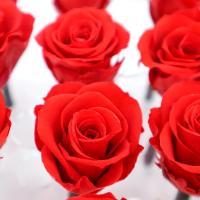 China Handmade Preserved Roses Live , Real Touch Flower Decoration For Wedding Reception for sale
