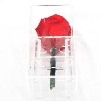 China Decorative Beautiful Preserved Rose Flower With No Pollen / No Allergy for sale