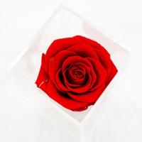 China Red Preserved Rose Flower Bring Soft And Delicate Detail For Anniversary Gift for sale