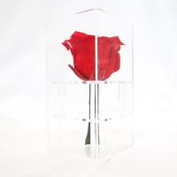 China Customized Color Everlasting Rose , New Year Love Real Preserved Roses For Crafts for sale