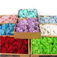 China Customized Color Super Moss Reindeer Moss 58*39.5*20CM For Home Decoration for sale