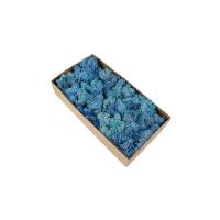 China Multi Colors Preserved Natural Moss Safe And Harmless Raw Materials for sale