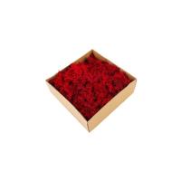 China Stabilized Preserved Moss Balls , Luxury Dried Reindeer Moss Home Decor for sale