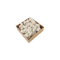 China Eternal Multiple Colors Preserved Reindeer Moss For Wall Decoration for sale