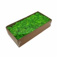 China A Grade Decorative Preserved Natural Moss Environmental Friendly for sale