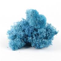 China A Grade Decorative Preserved Natural Moss Environmental Friendly for sale