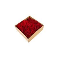 China Decorative Modern Green Moss , Indoor Moss Wall With No Harmful Substances for sale