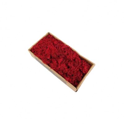 China Beautiful Preserved Natural Moss For Home Decoration / Indoor Decoration for sale