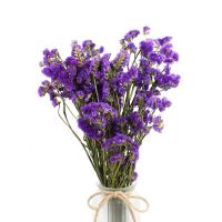 China Brightly Colored Purple Limonium Flower Forget Me Not For Decoration for sale