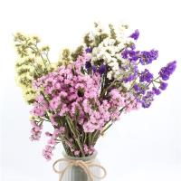 China Brightly Colored Purple Limonium Flower Forget Me Not For Decoration for sale