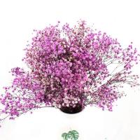 China Multicolor Beautiful Dried Flowers Baby'S Breath Wedding Table Decorations for sale