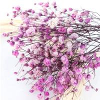 China Multicolor Beautiful Dried Flowers Baby'S Breath Wedding Table Decorations for sale