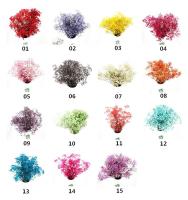 China Decorative Natural Dried Pampas Grass , Fresh Keeping Preserved Pampas Grass for sale